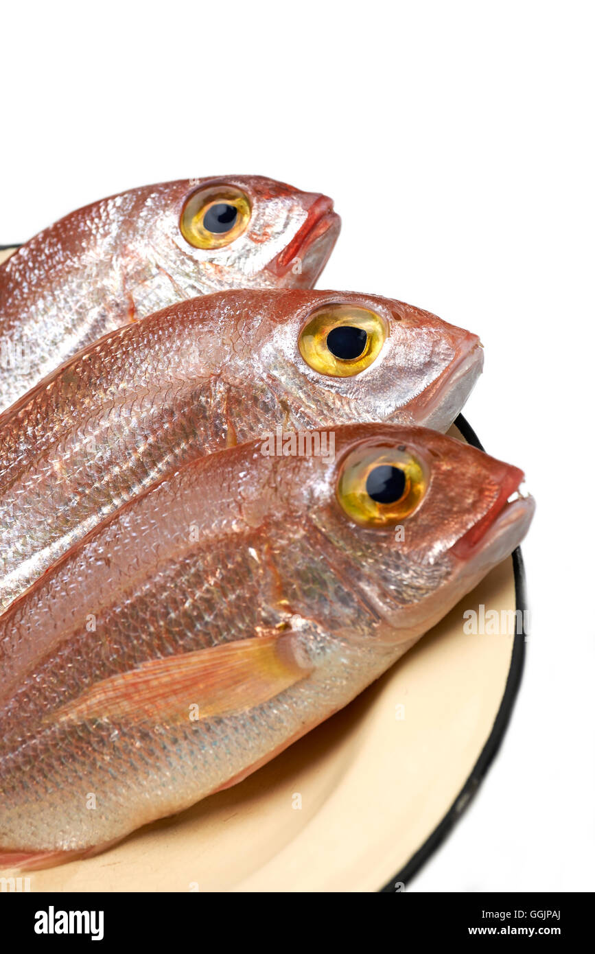 Fresh fish, red snapper in a plate Stock Photo - Alamy