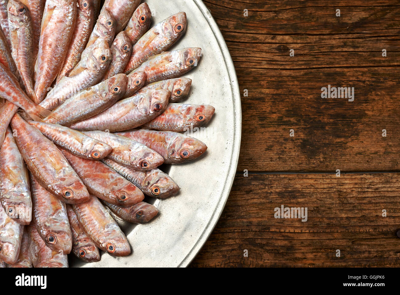 Mullet on white fish hi-res stock photography and images - Alamy