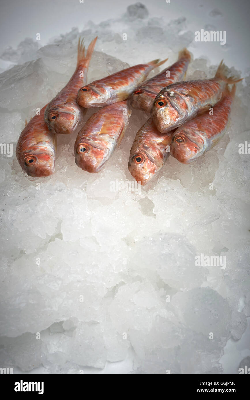 Mullet on ice hi-res stock photography and images - Alamy