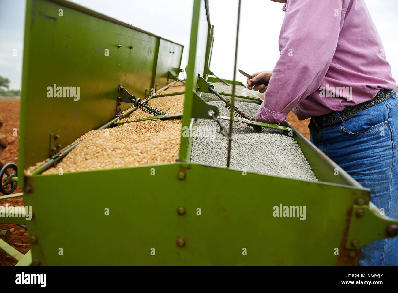 loading seeding machine with wheat seeds and fertilizer to cultivating ...
