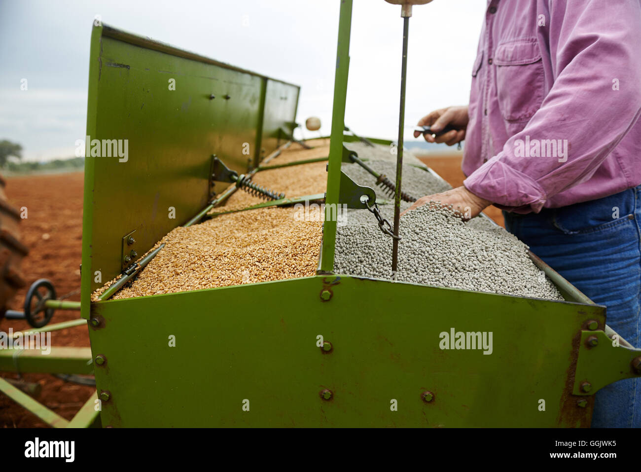 loading seeding machine with wheat seeds and fertilizer to cultivating ...