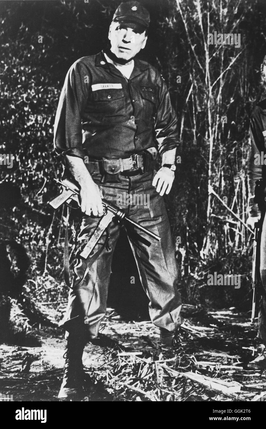 DIE LETZTE SCHLACHT / Go Tell The Spartans USA 1977 / Ted Post Major ...