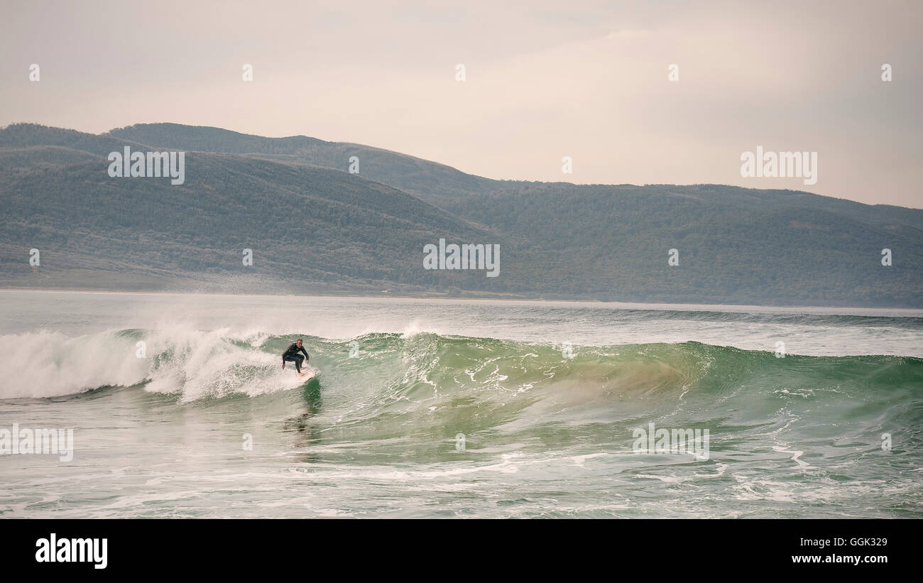 Surfer riding the waves at Great Taylor Bay on Bruny Island, larger ...