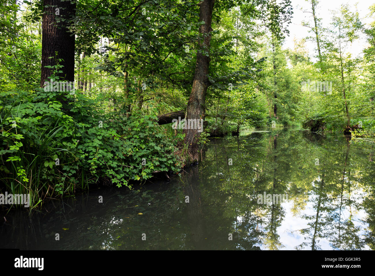 Sriver hi-res stock photography and images - Alamy