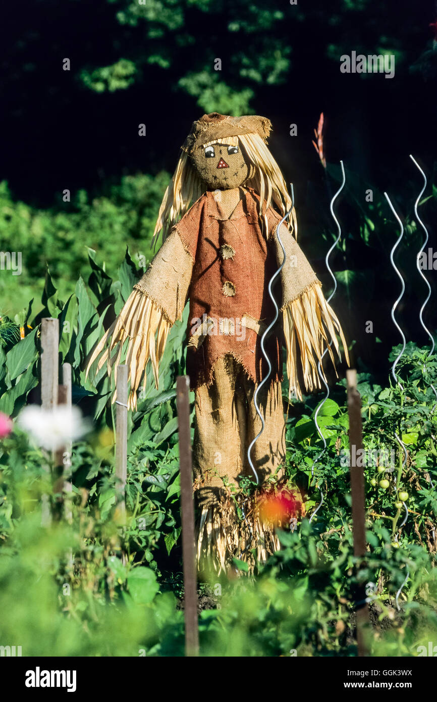 Scarecrow garden hi-res stock photography and images - Alamy