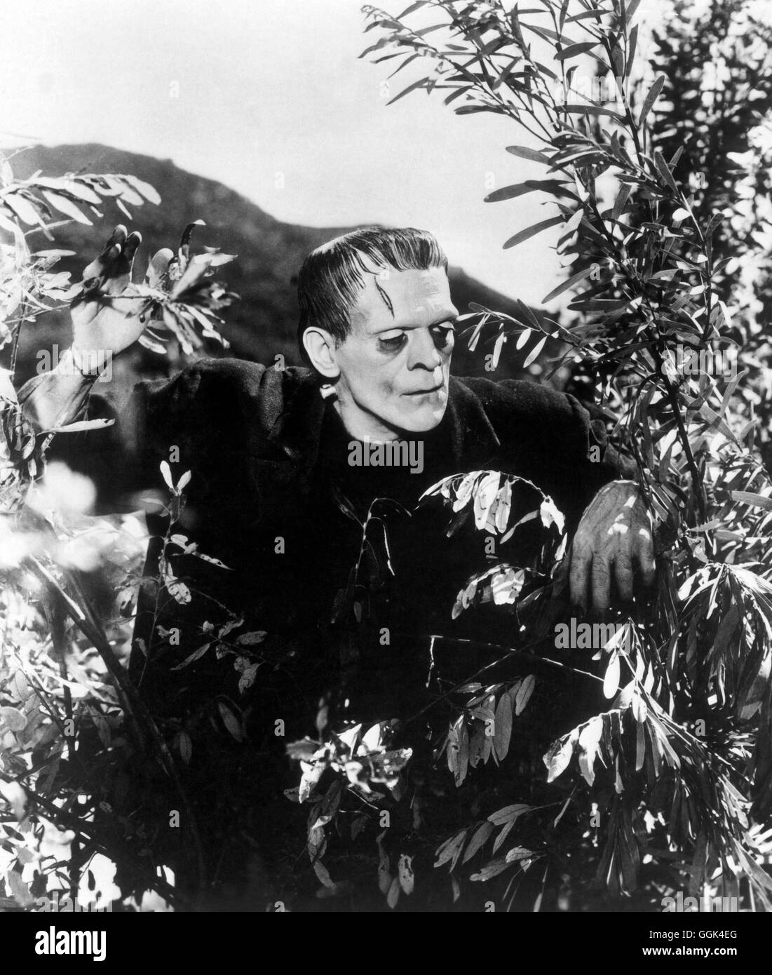 Frankenstein 1931 hi-res stock photography and images - Alamy