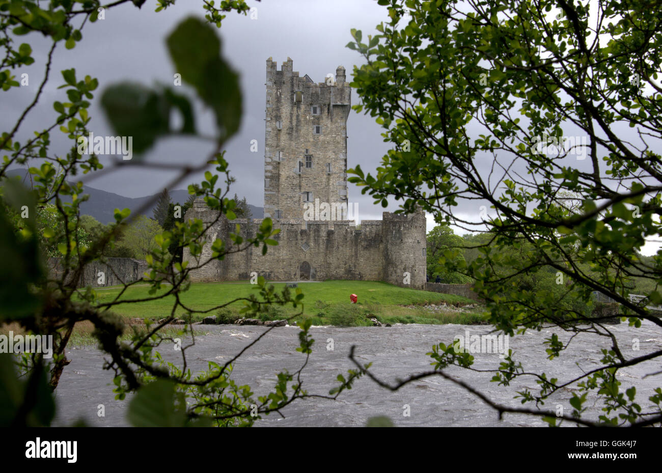 Ross Castle near Killarney, Kerry, Ireland Stock Photo - Alamy