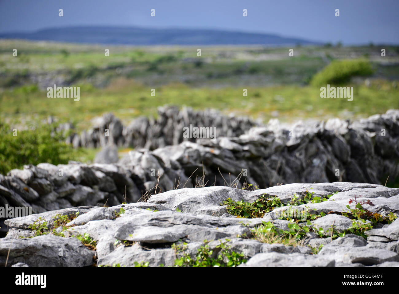In the Burren, Clare, West coast, Ireland Stock Photo - Alamy