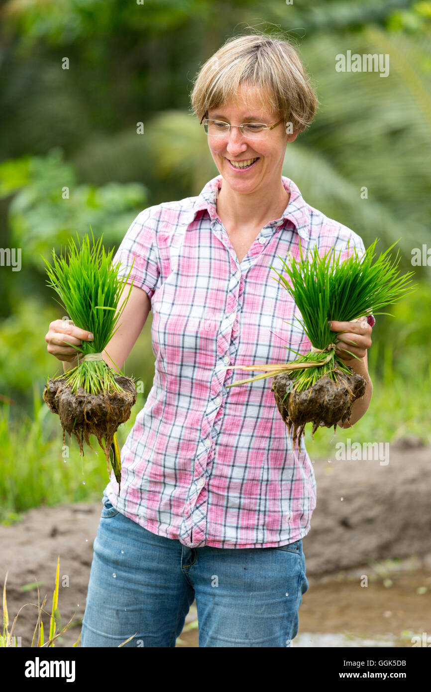German women with rice seedlings, rice field, paddyfield, growing rice ...