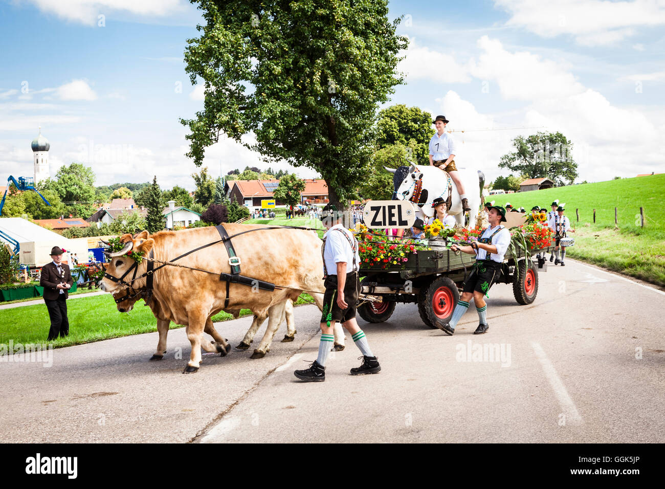 Ox Drawn Cart High Resolution Stock Photography and Images - Alamy