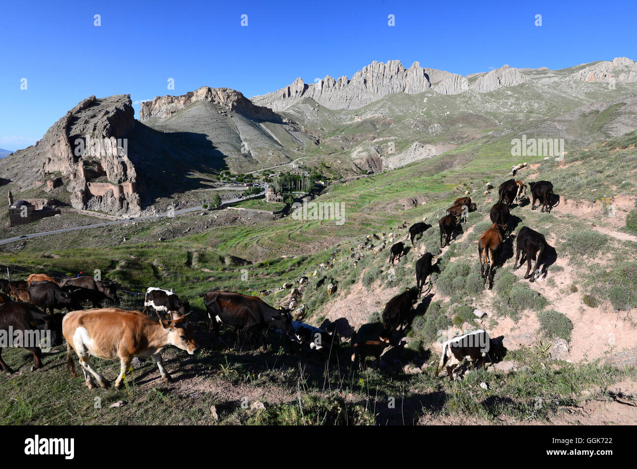 Kurd populated area hi-res stock photography and images - Alamy