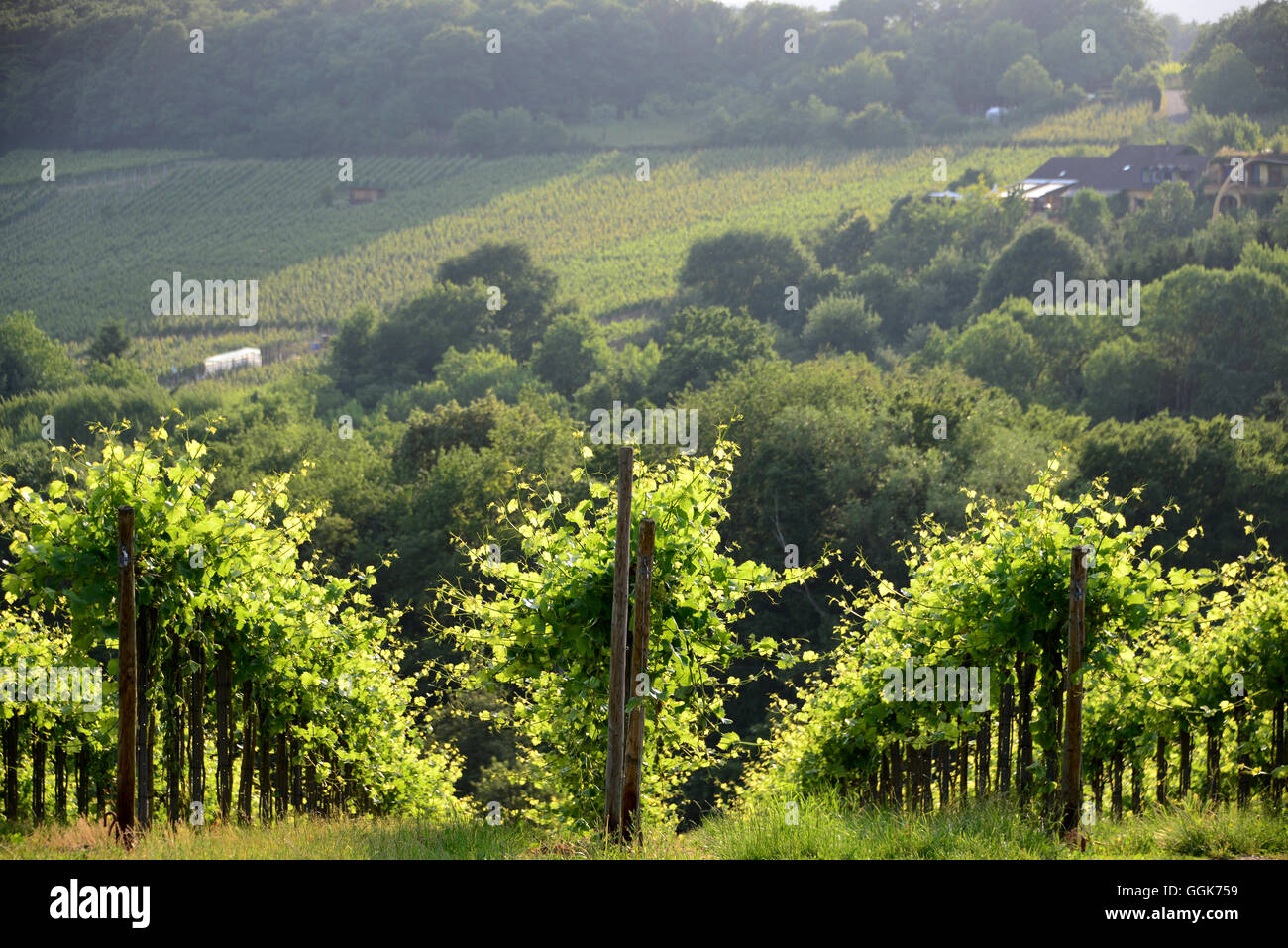 Marienthal hi-res stock photography and images - Alamy