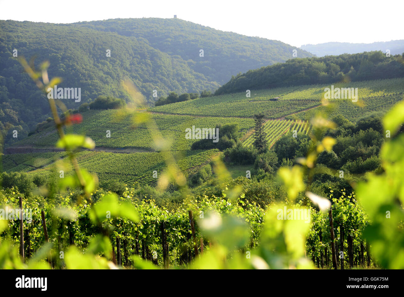 Marienthal hi-res stock photography and images - Alamy