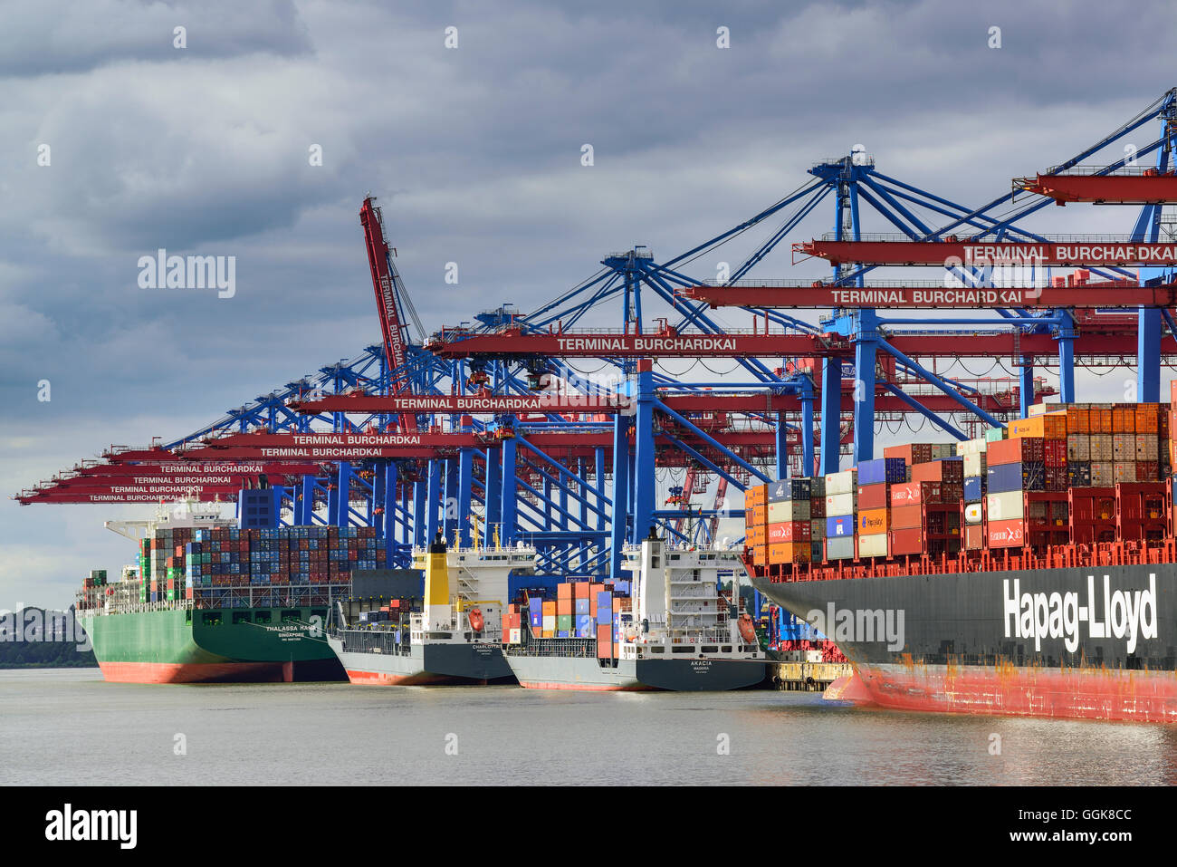 Container ships at container terminal Burchardkai, Waltershof, Hamburg ...