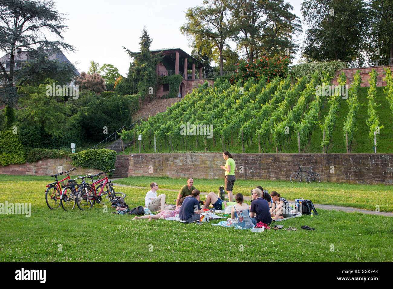 Group of people enjoying a picnic hi-res stock photography and images ...