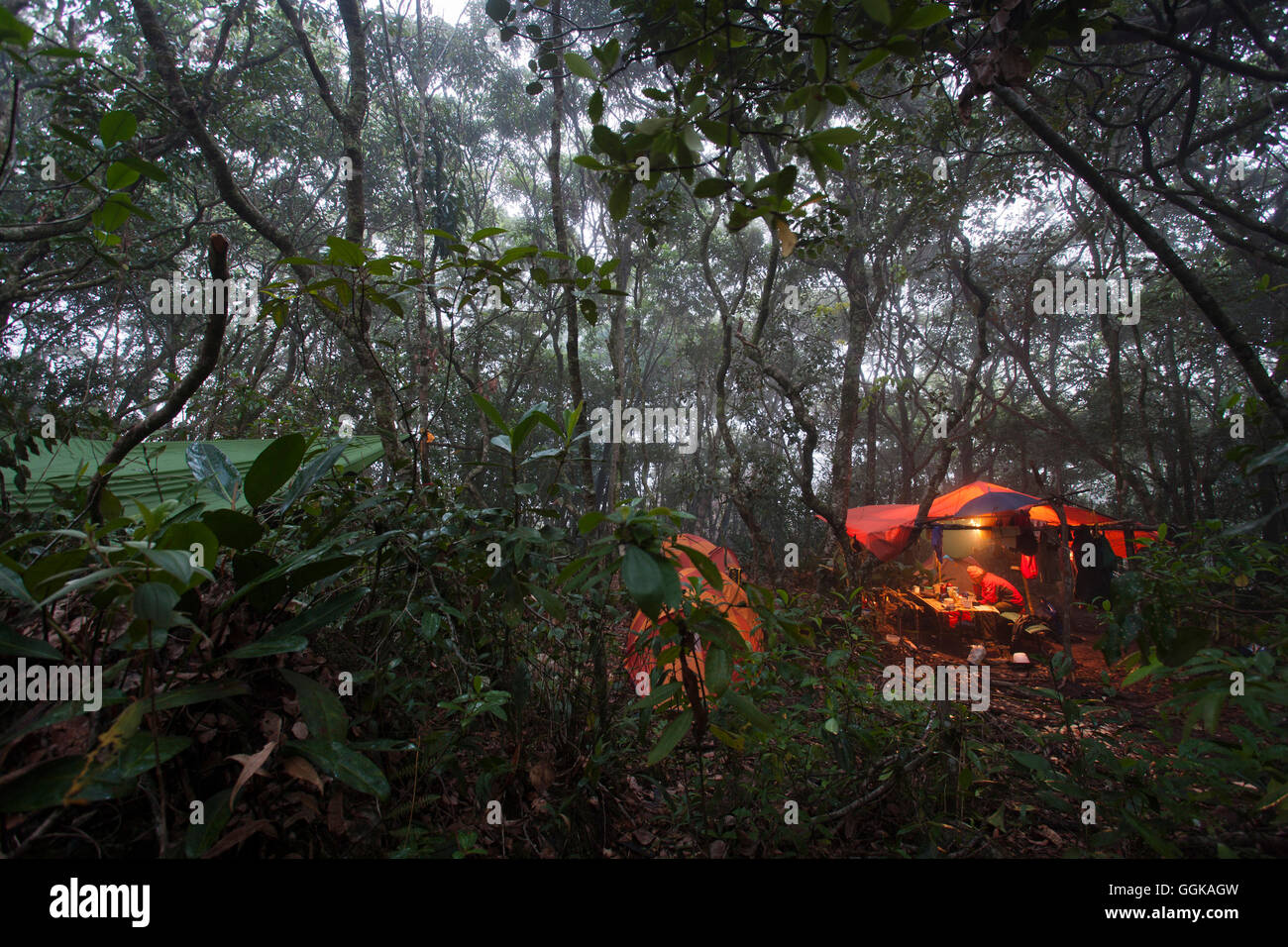 Camp in the jungle, Acopan Tepui, La Gran Sabana, Bolivar, Venezuela ...
