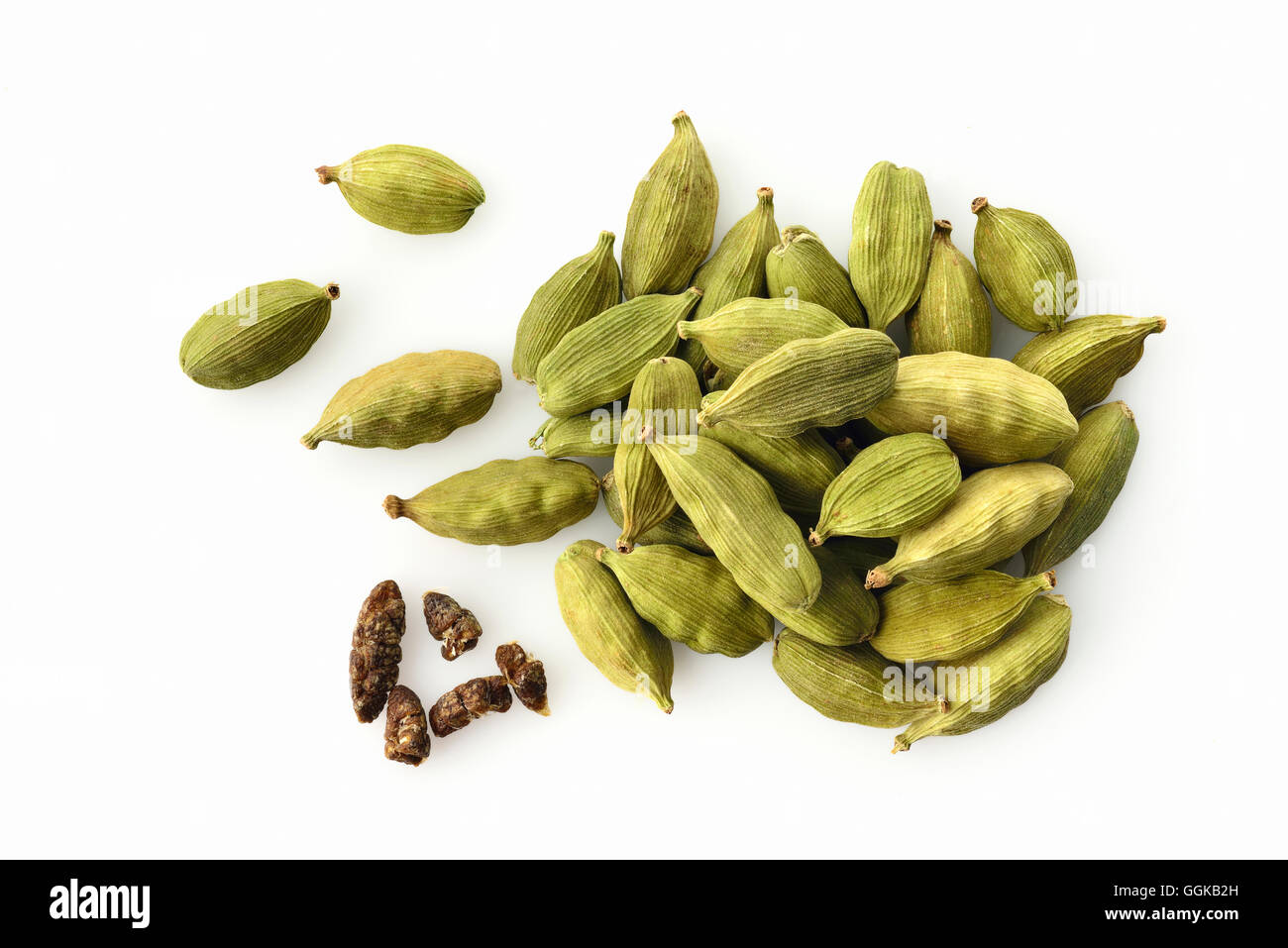 Cardamom plant hi-res stock photography and images - Alamy