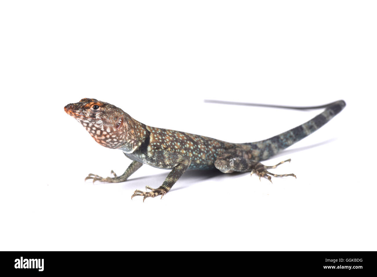 Banded rock hi-res stock photography and images - Alamy