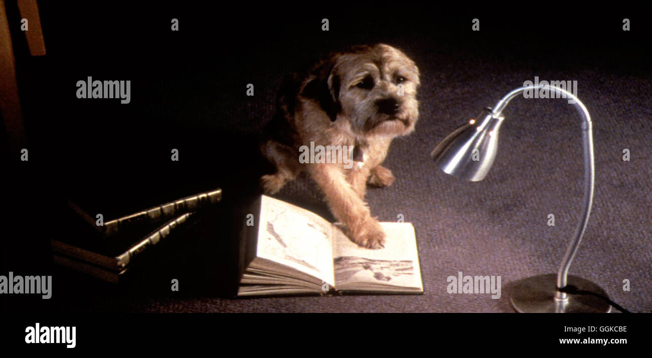 IN TIERISCHER MISSION / Good Boy! USA 2003 / John Robert Hoffman SZENE ...