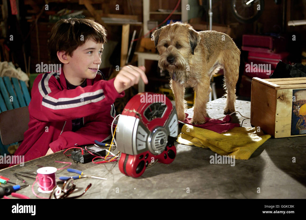 IN TIERISCHER MISSION / Good Boy! USA 2003 / John Robert Hoffman Owen Baker (LIAM AIKEN) Regie ...