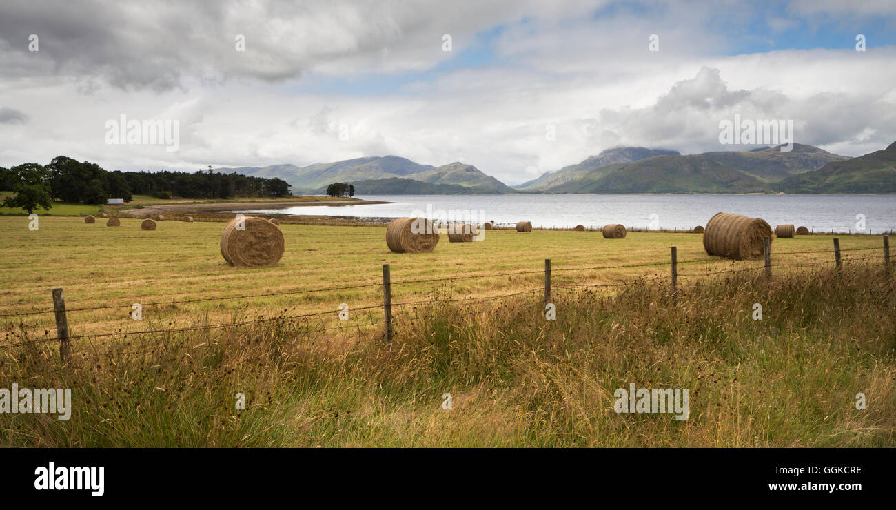 Scottish landscape with hay bales hi-res stock photography and images ...