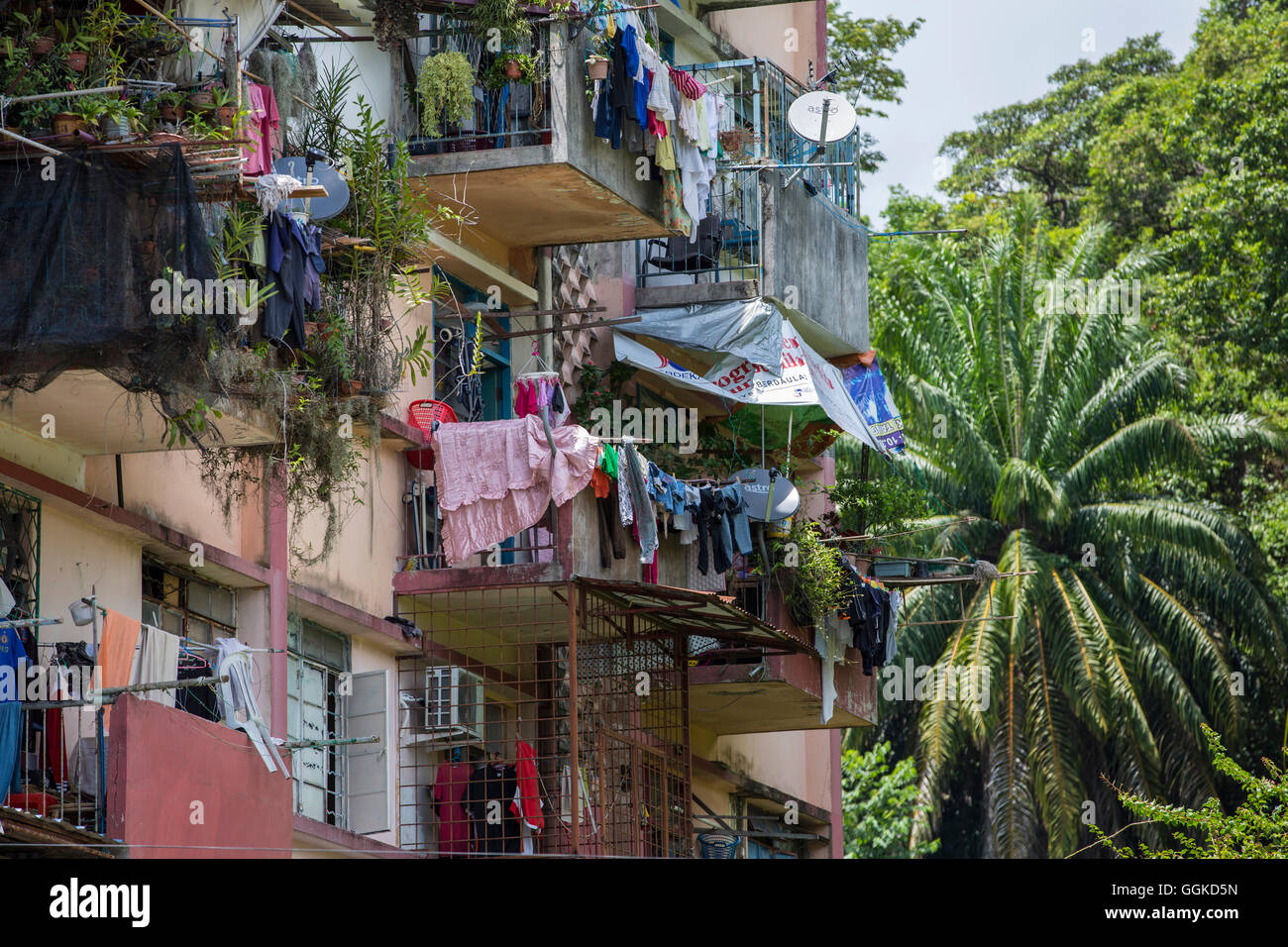 Clothesline destination nobody outdoors palm travel tree trees asia hi ...