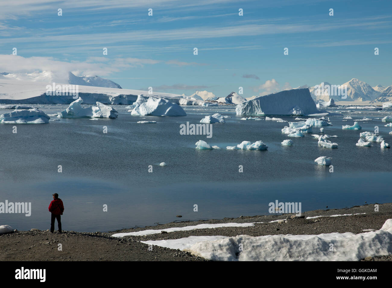 Rothera antarctica hi-res stock photography and images - Alamy