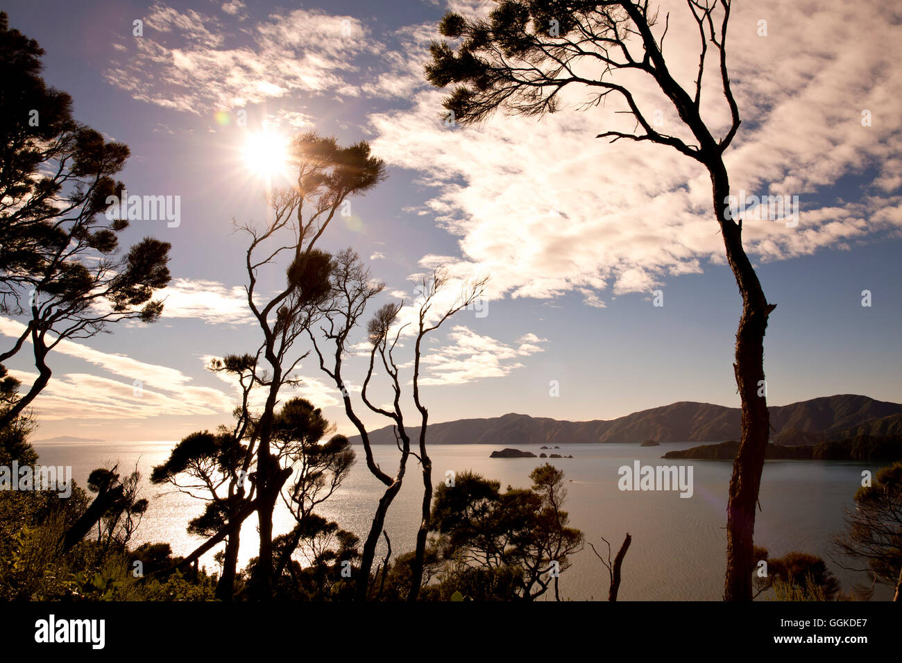 View from the top of Motuara Island to Long Island, Motuara Island ...