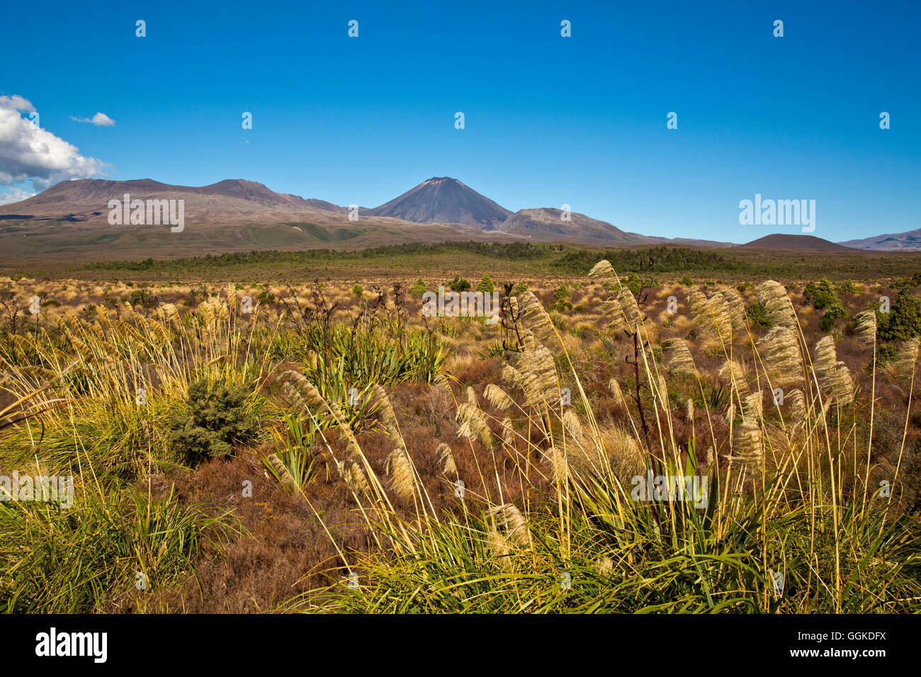 Landscape of Tongariro National Park with view of the active volcano ...
