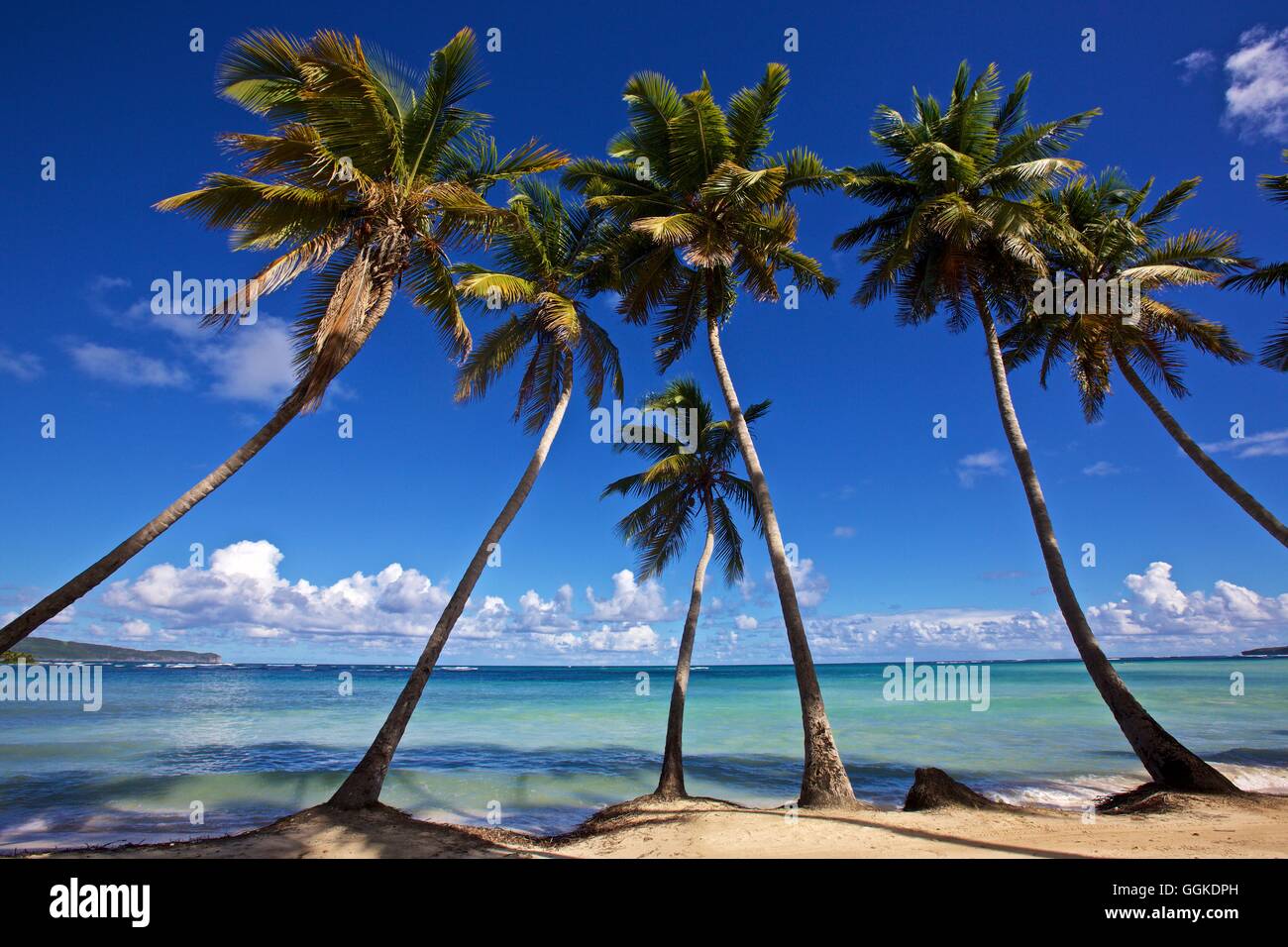 Las terrenas hi-res stock photography and images - Alamy