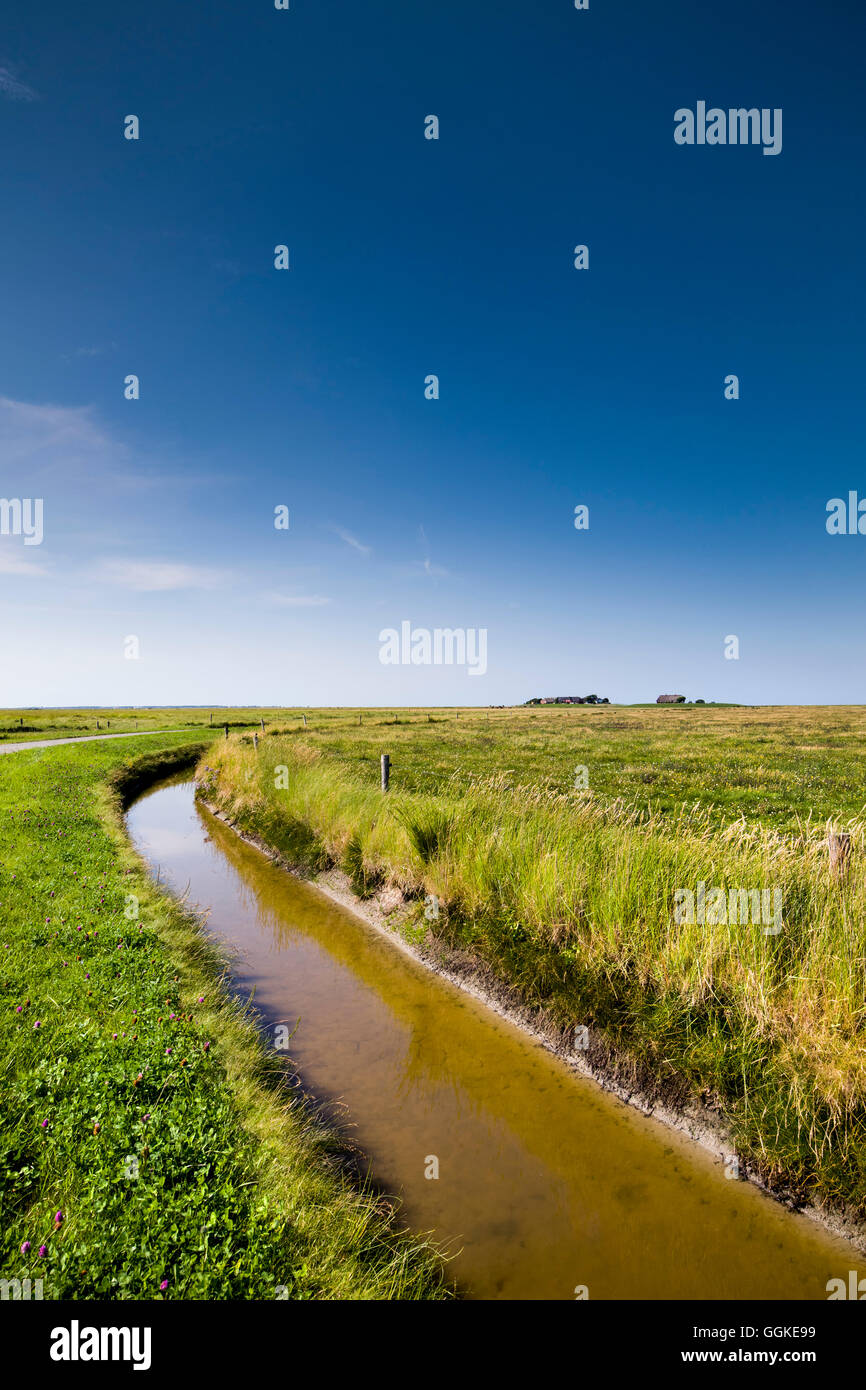 Hallig island hi-res stock photography and images - Alamy