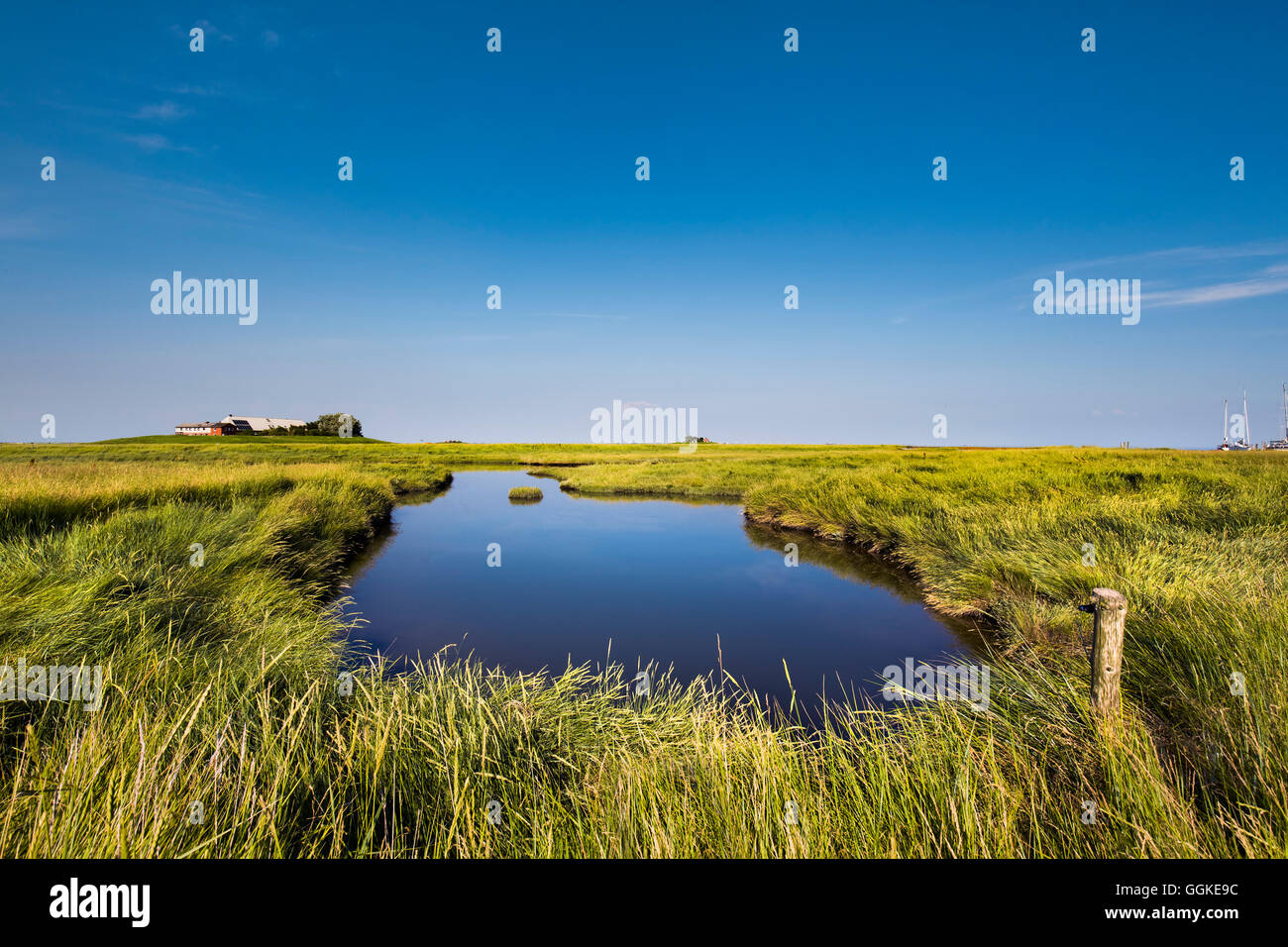 Salt marsh and dwelling mound hi-res stock photography and images - Alamy