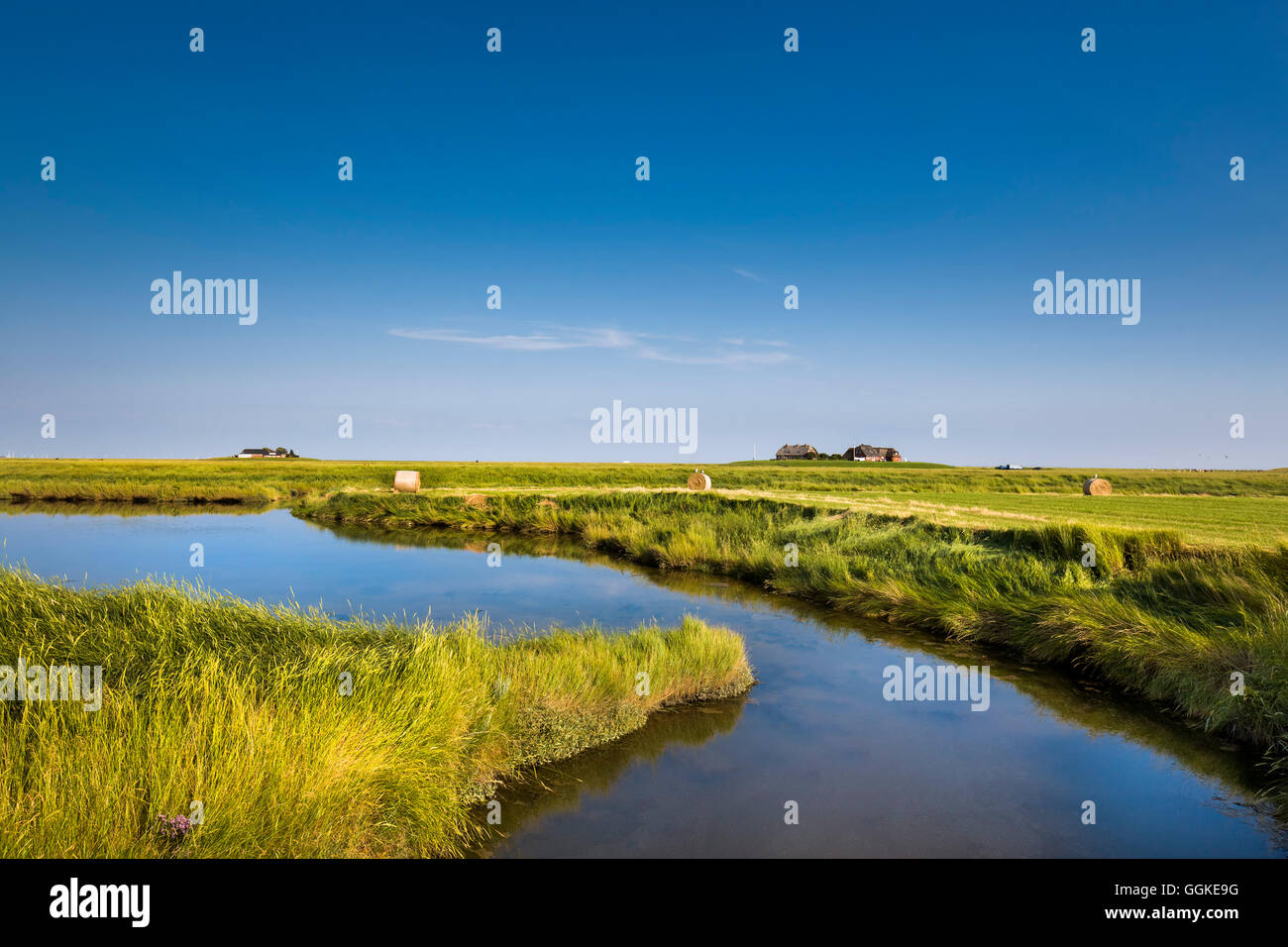 Salt marsh and dwelling mound, Hallig Langeness, North Frisian Islands ...