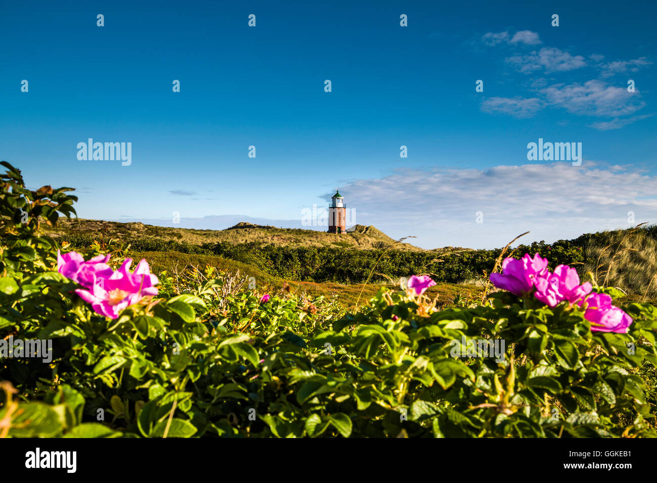 Kampen sylt hi-res stock photography and images - Alamy