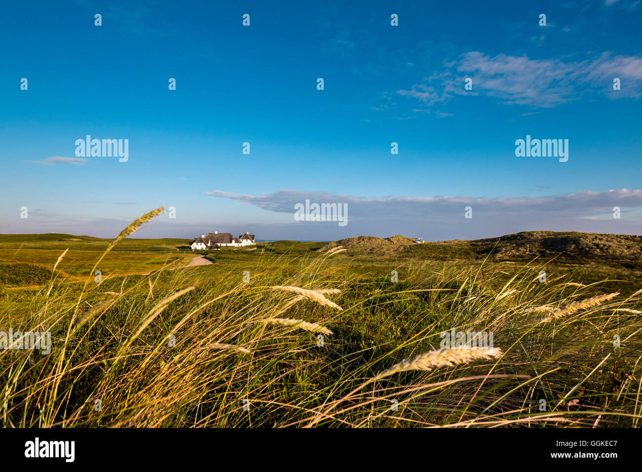Thatched house in sylt island hi-res stock photography and images - Alamy