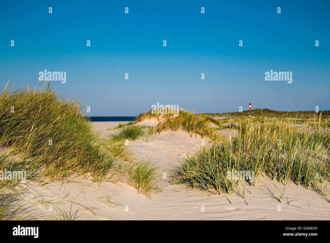 Beach and List East lighthouse, Ellenbogen, Sylt Island, North Frisian ...