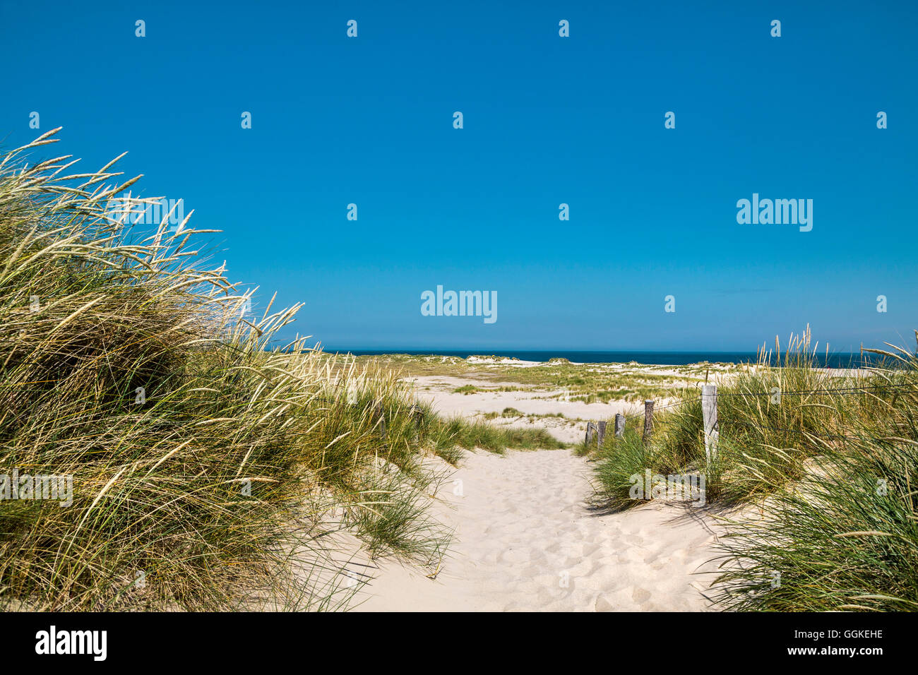 Elbow island hi-res stock photography and images - Alamy