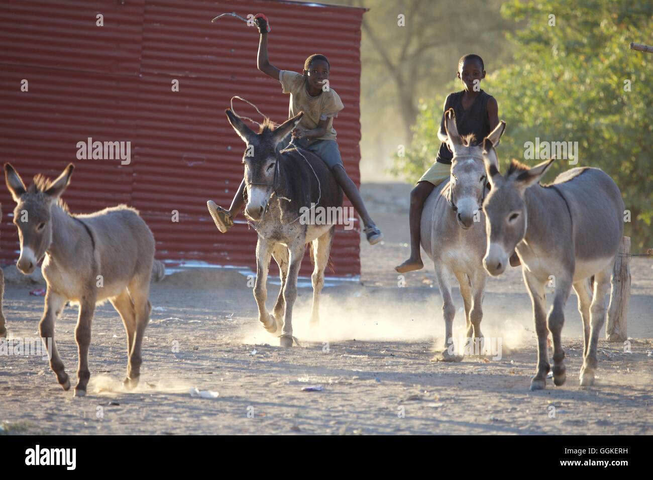 Herero boys riding on donkeys, Sesfontain, Namibia Stock Photo - Alamy