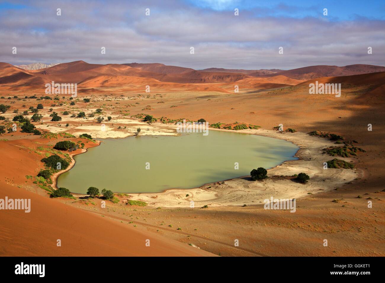 clay pan at Sossusvlei filled with water, Namibia Stock Photo - Alamy