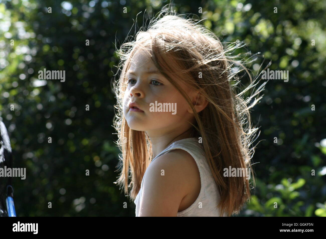 Little girl with sun shining in her hair Stock Photo - Alamy