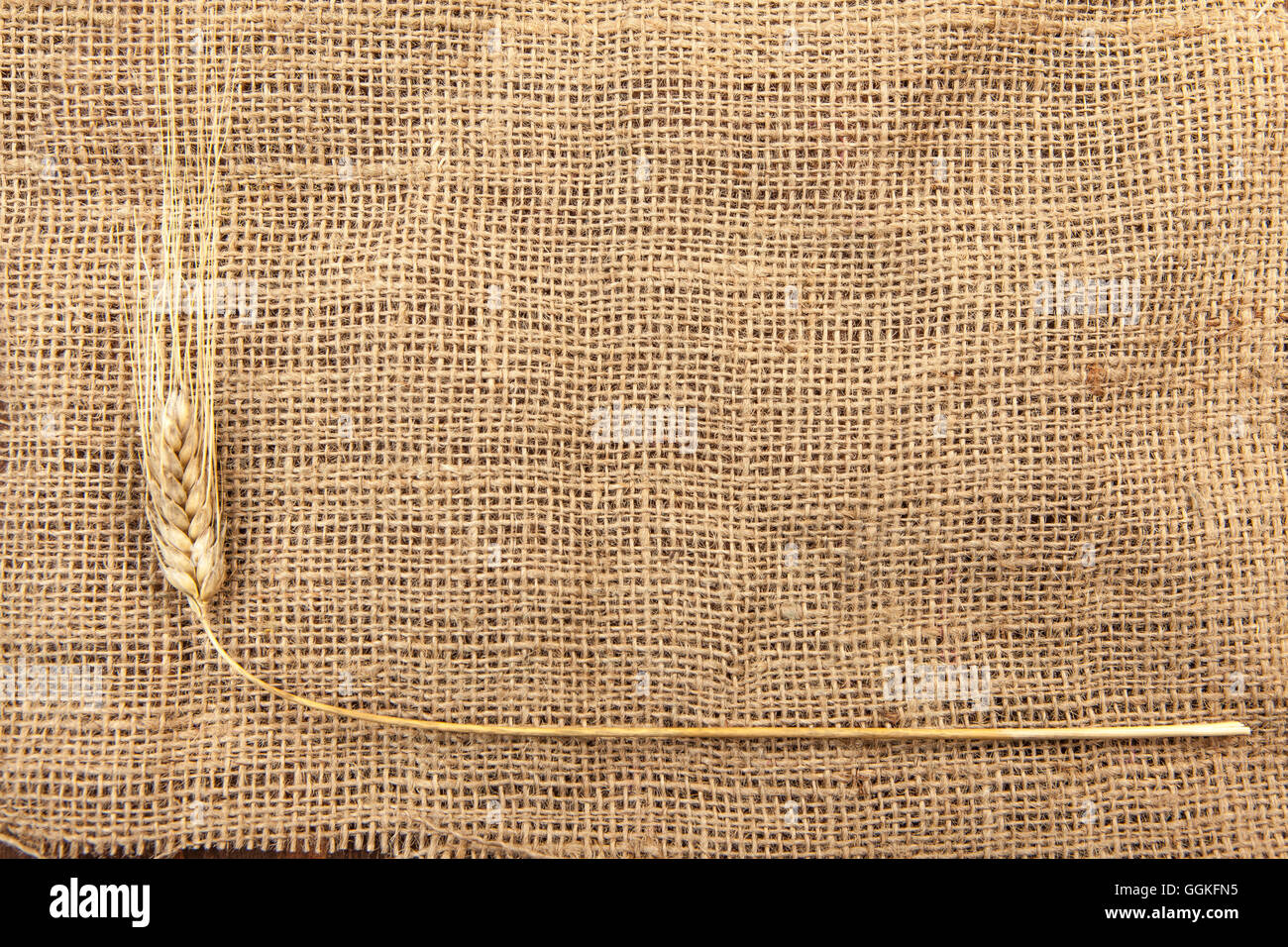 dry wheat on a burlap Stock Photo - Alamy