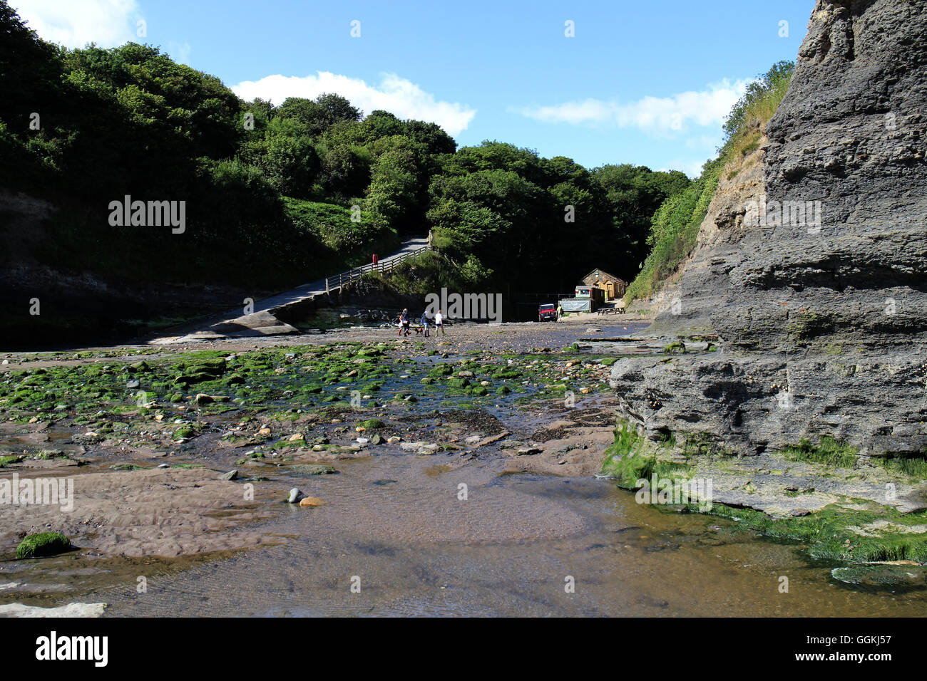 Boggle Hole, near Whitby, North Yorkshire, England Stock Photo - Alamy
