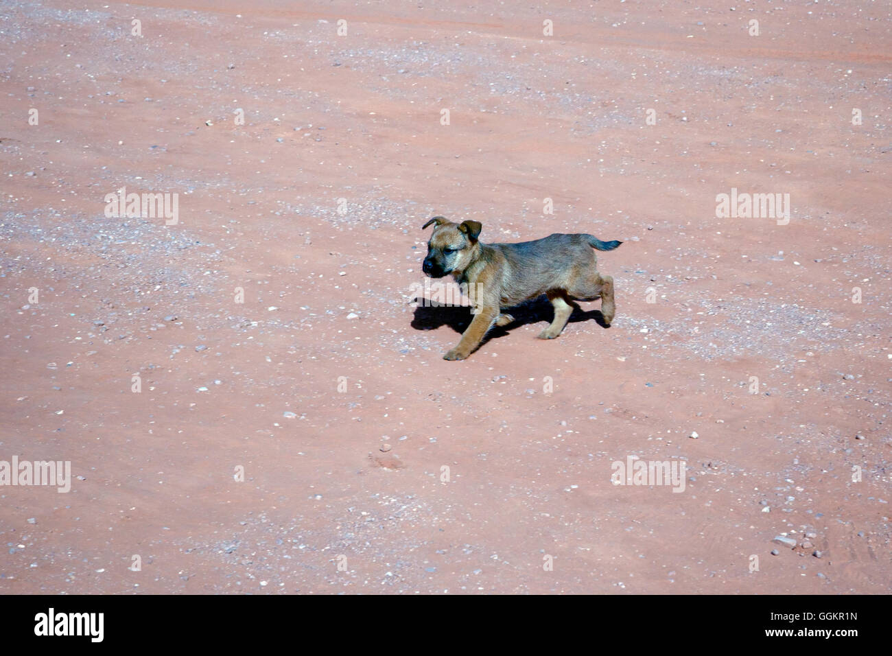 Wandering heritage hi-res stock photography and images - Alamy