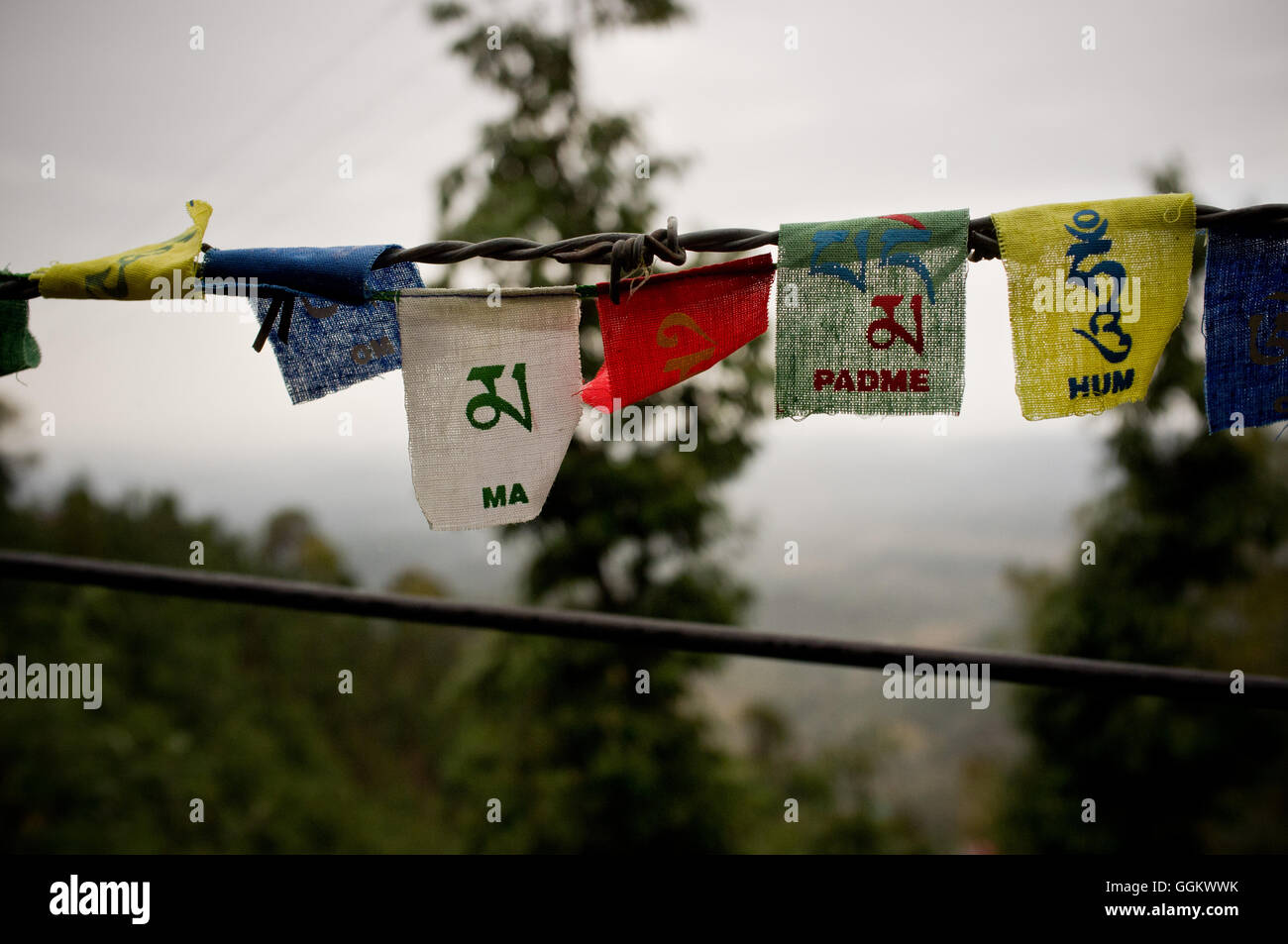 Buddhist prayer flags in Dharamshala, India. © Jordi Boixareu Stock ...