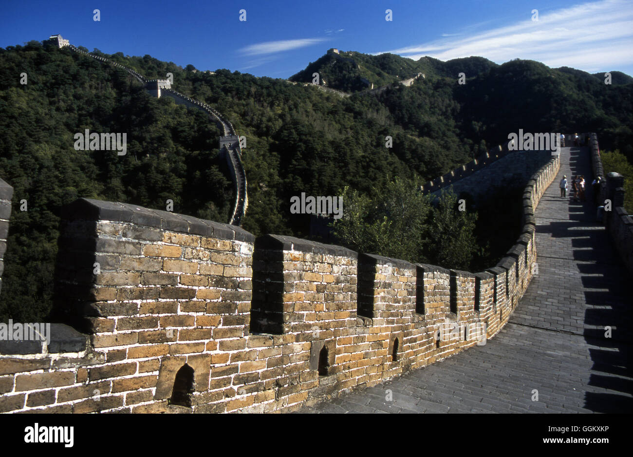 Long yu hi-res stock photography and images - Alamy