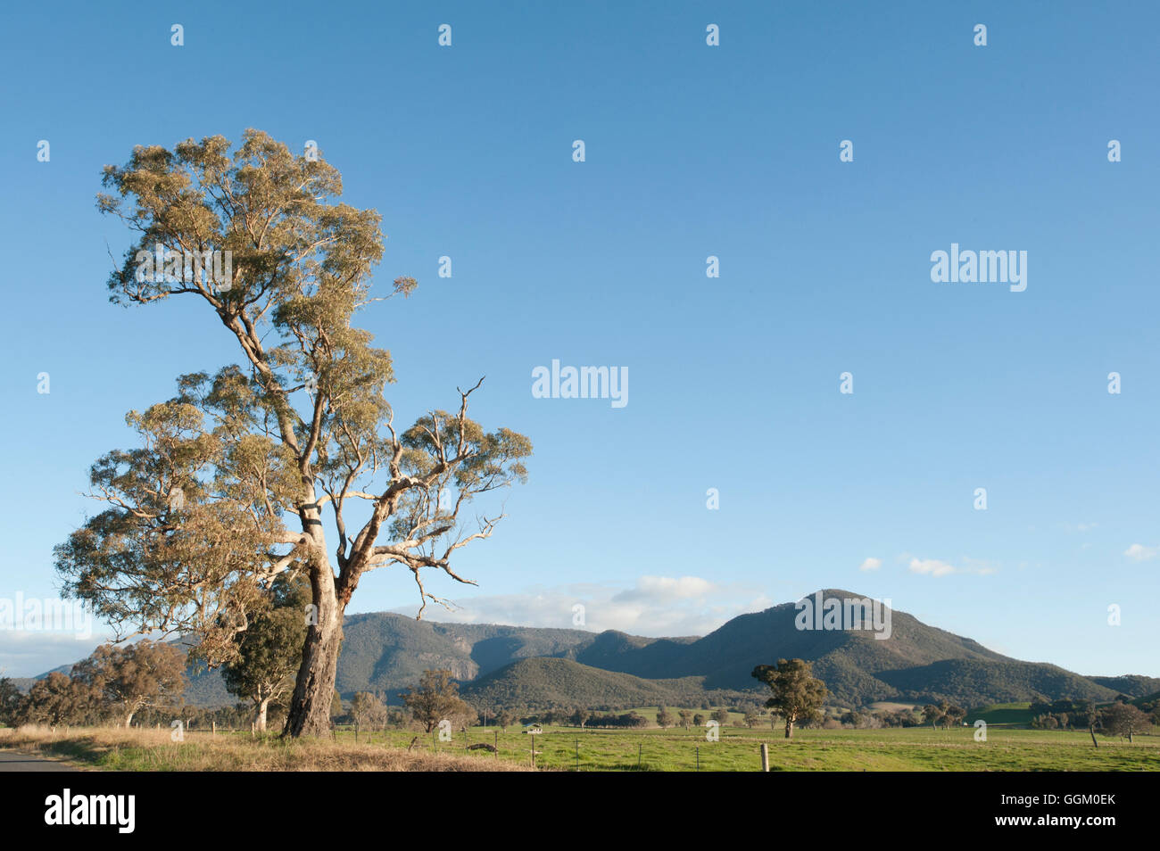 Murray Valley, Victoria Stock Photo - Alamy