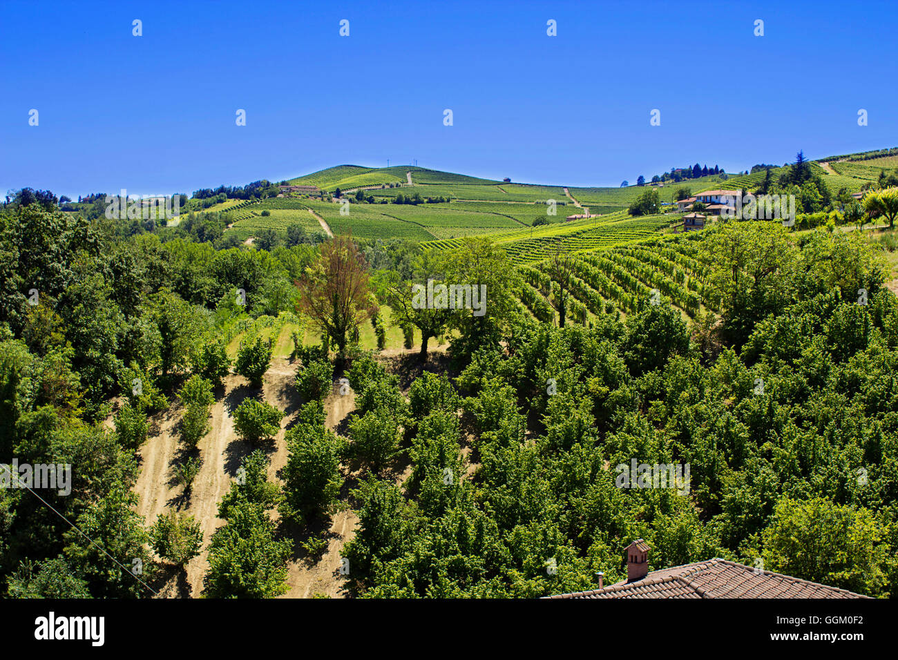 Landscape view of the well-known town of Barolo among green hills and ...