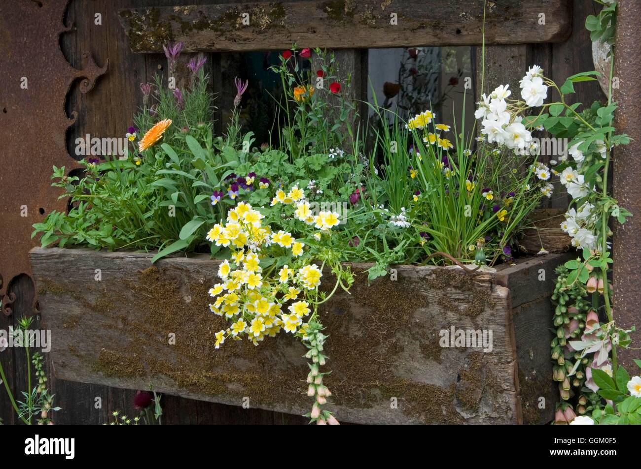 Kate frey hi-res stock photography and images - Alamy