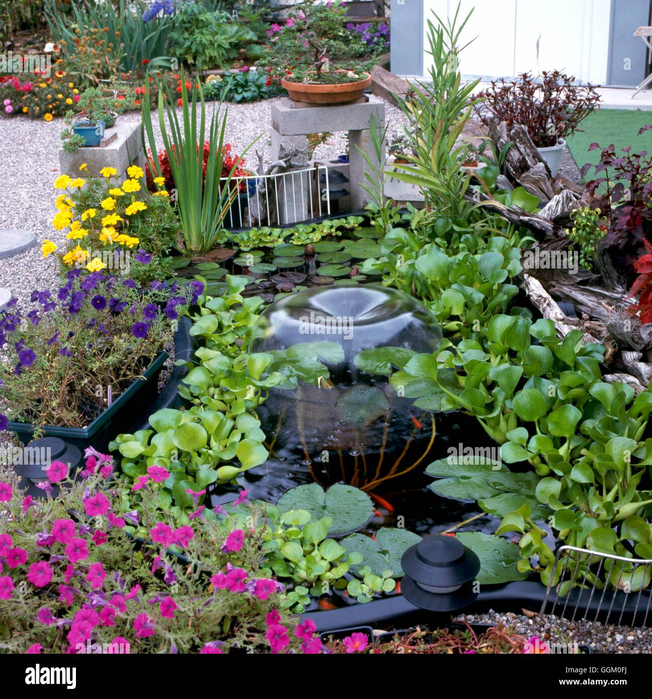 Fountain plants hi-res stock photography and images - Alamy