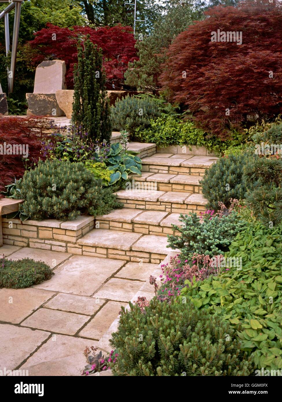 Steps- - (Please credit: Photos Hort/designer Alan Sargent) MIW253670 ...